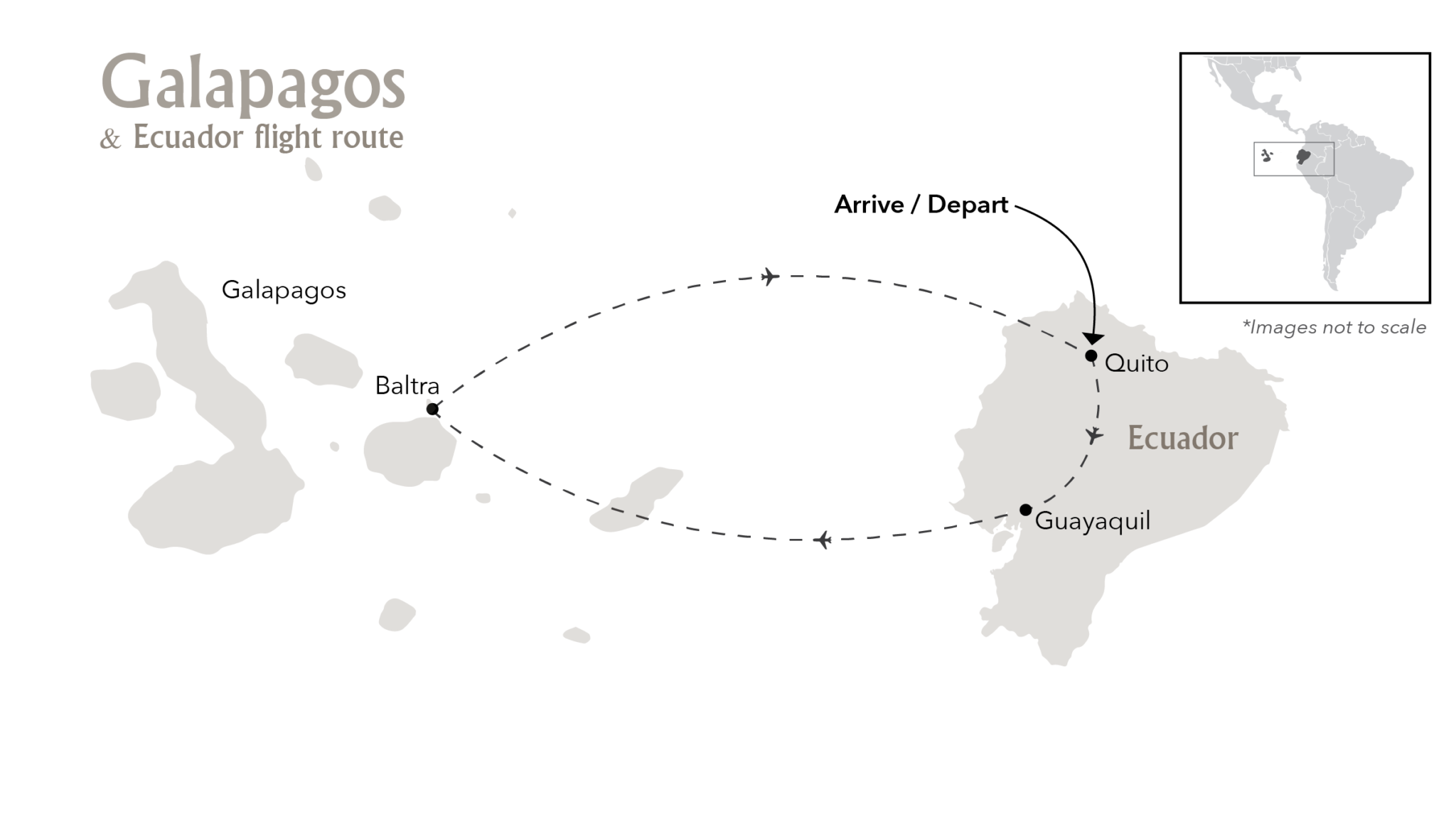 Quito & Galapagos Islands Tour with La Pinta Cruise - Andean Discovery