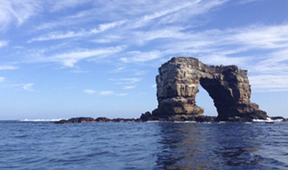 Darwin Island, Galapagos Island by Andean Discovery