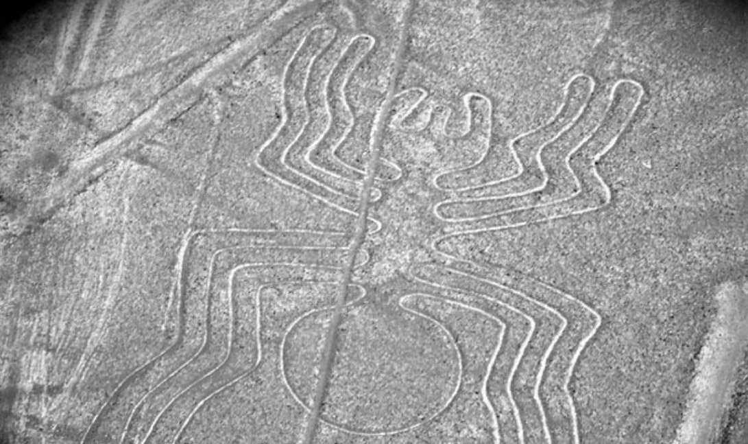 Nazca Lines & Paracas National ReserveAndean Discovery