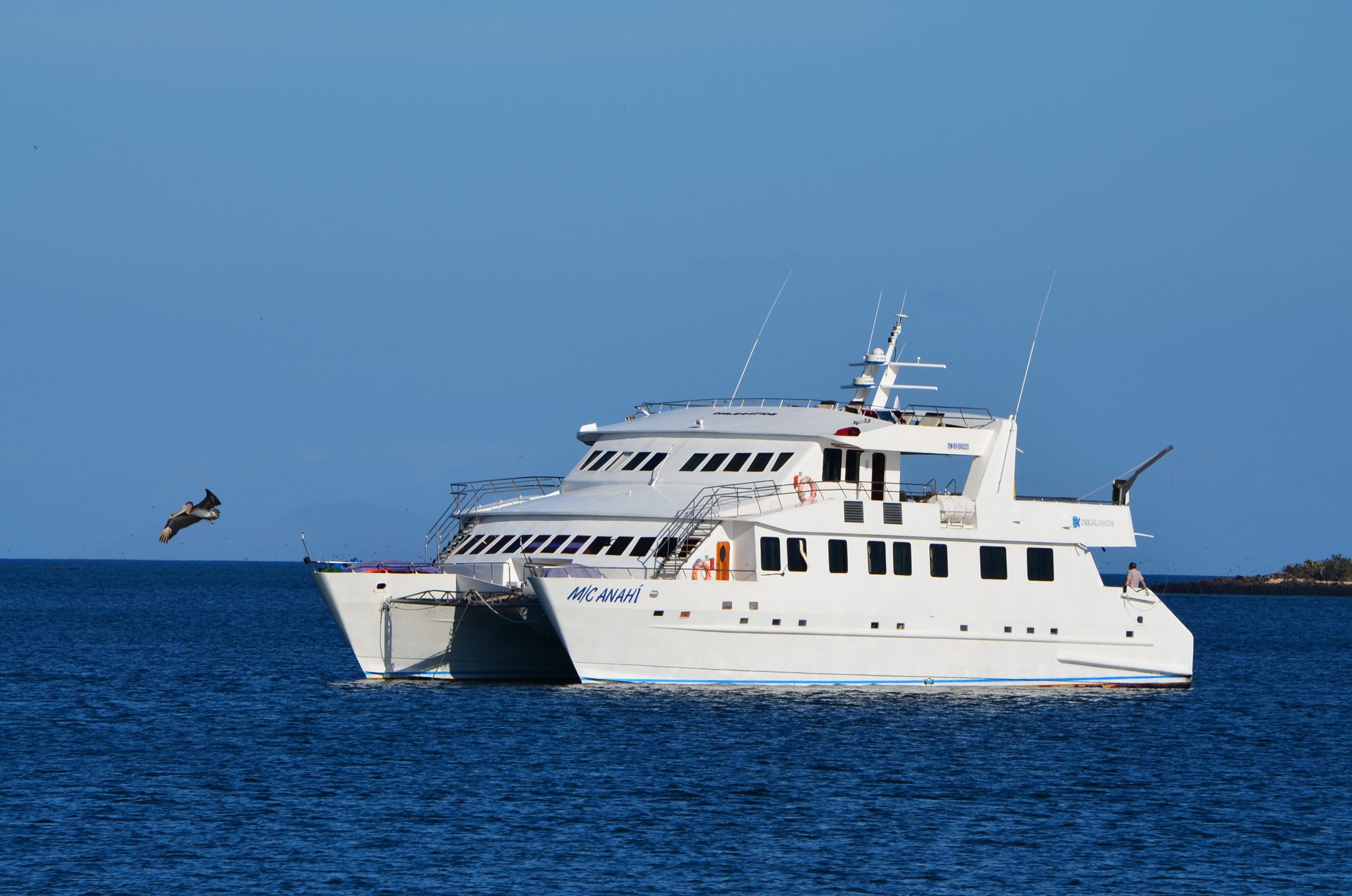 Isabela II Galapagos Cruise Ship Bookings by Andean Discovery