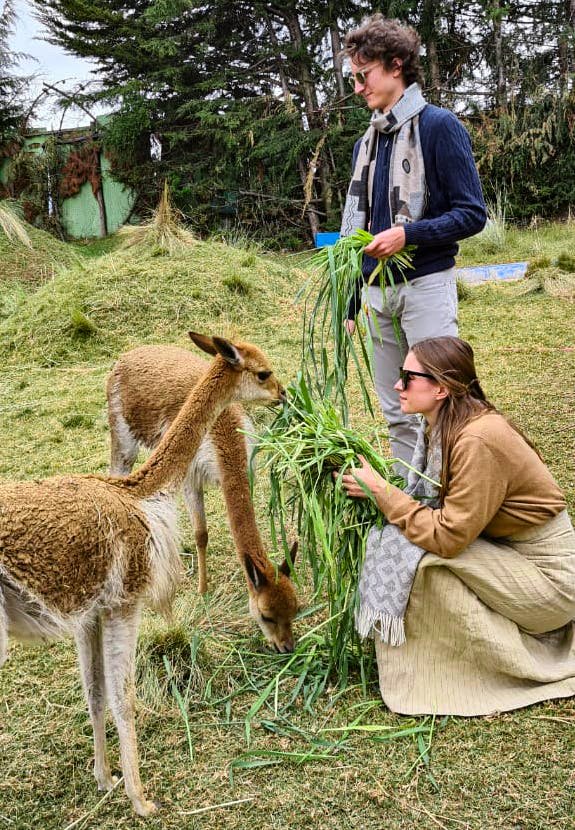 Price vs Value - Andean Discovery
