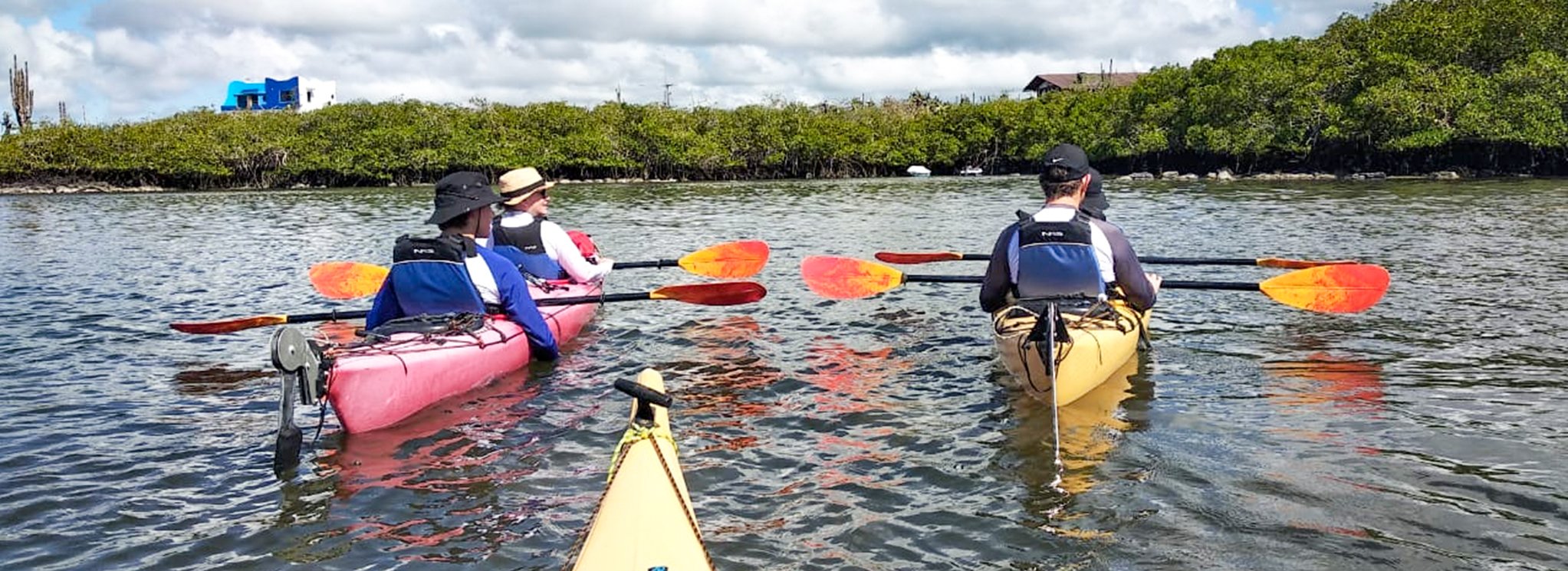 Kayaking Adventure | Santa Cruz Island, Galapagos - Andean Discovery